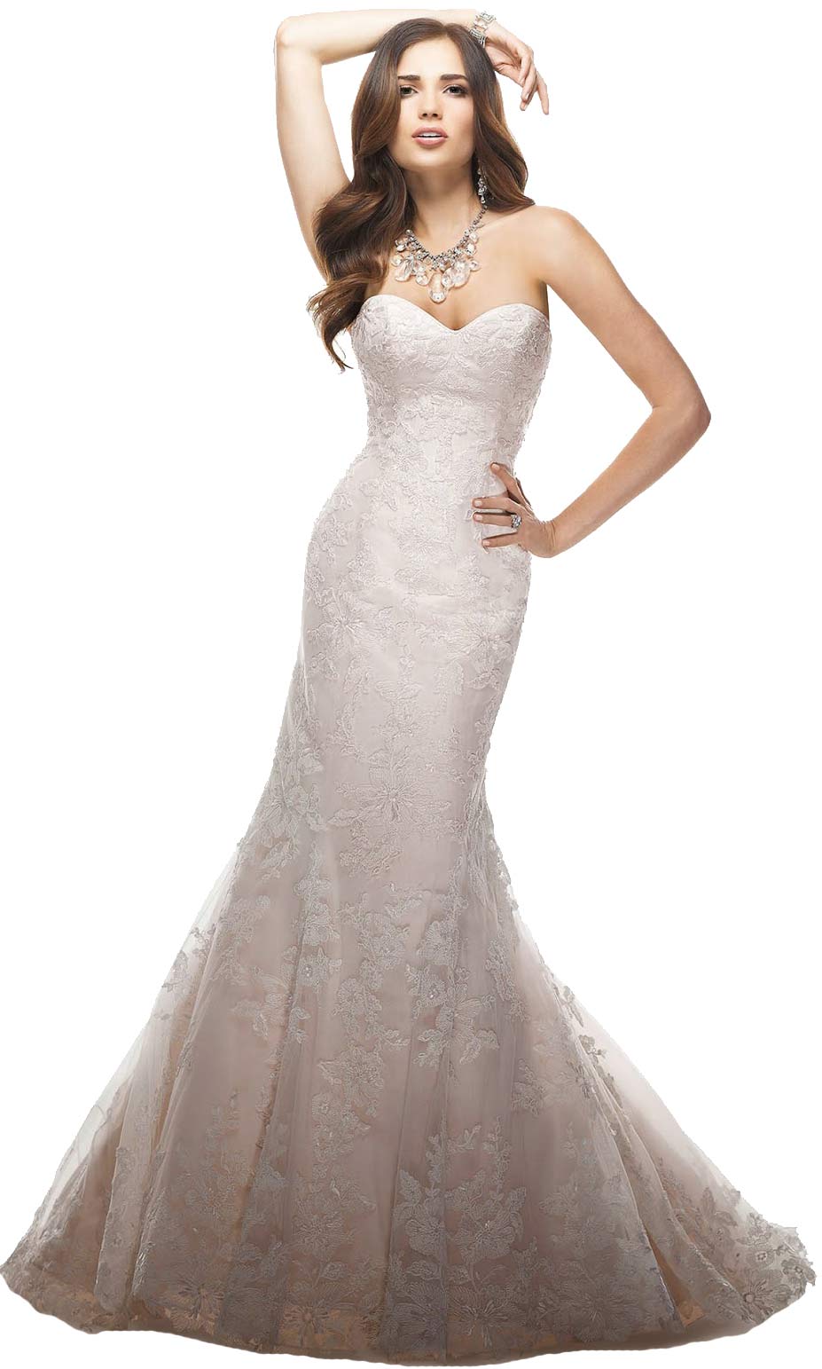 The Wedding Dress Charity Ball - Sudol Media